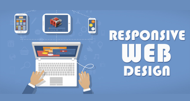 What Are The Components of Responsive Web Design? - Css Founder Pvt Ltd